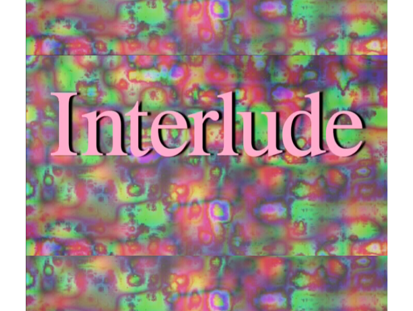 Accueil - Télé Bocal